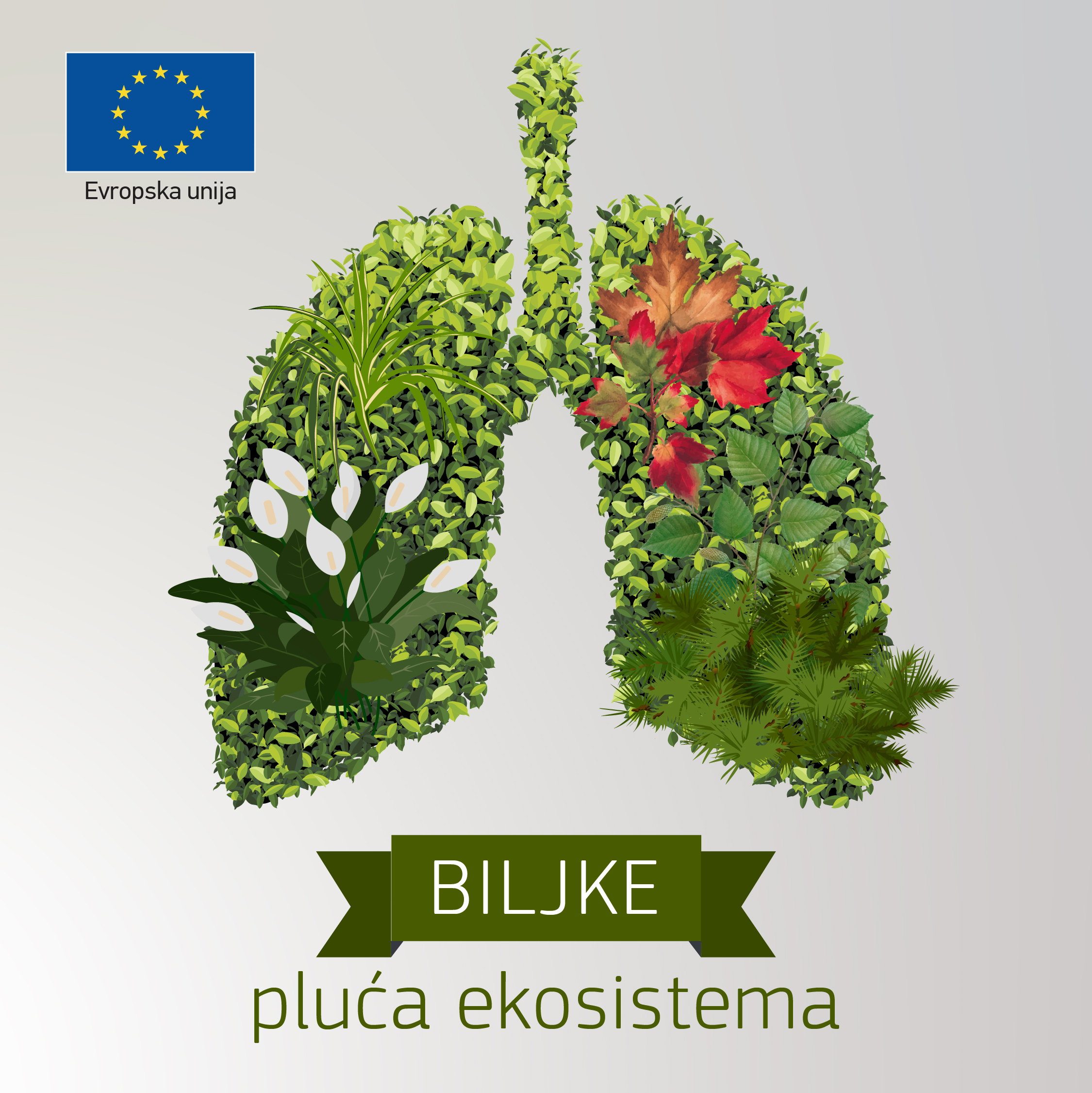 Biljke: Pluca ekosistema - Europe House